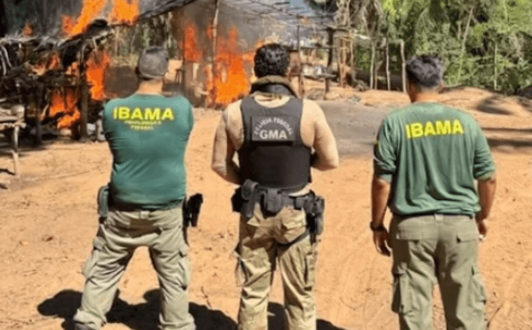 PF e Ibama combatem invasão e desmatamento ilegal em MT e um é preso ...