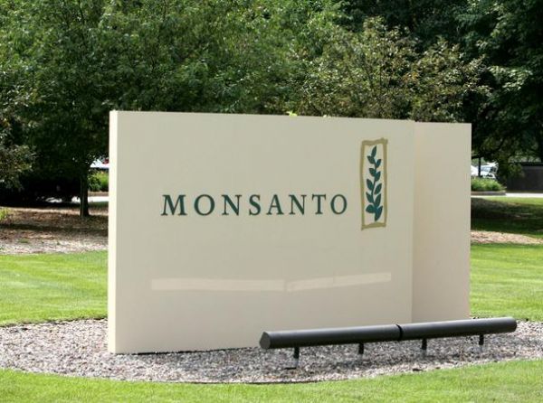 Justiça nega reconsideração à Monsanto e mantém suspenso royalties por ...